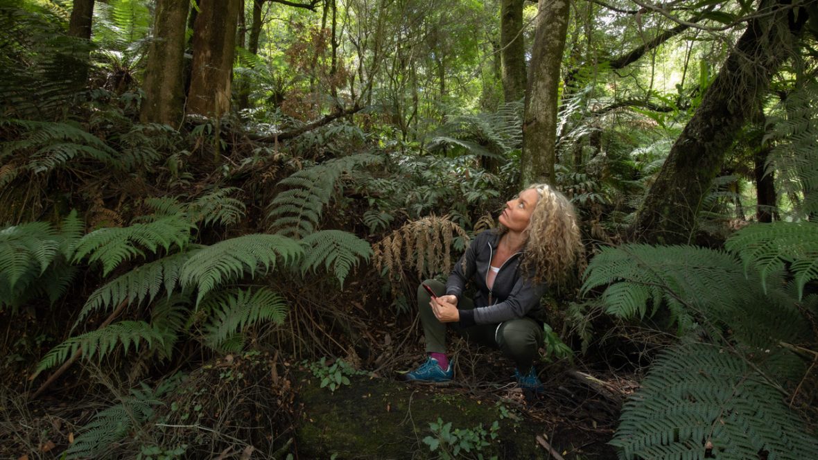 How to turn a threatened forest into a National Park | Adventure.com