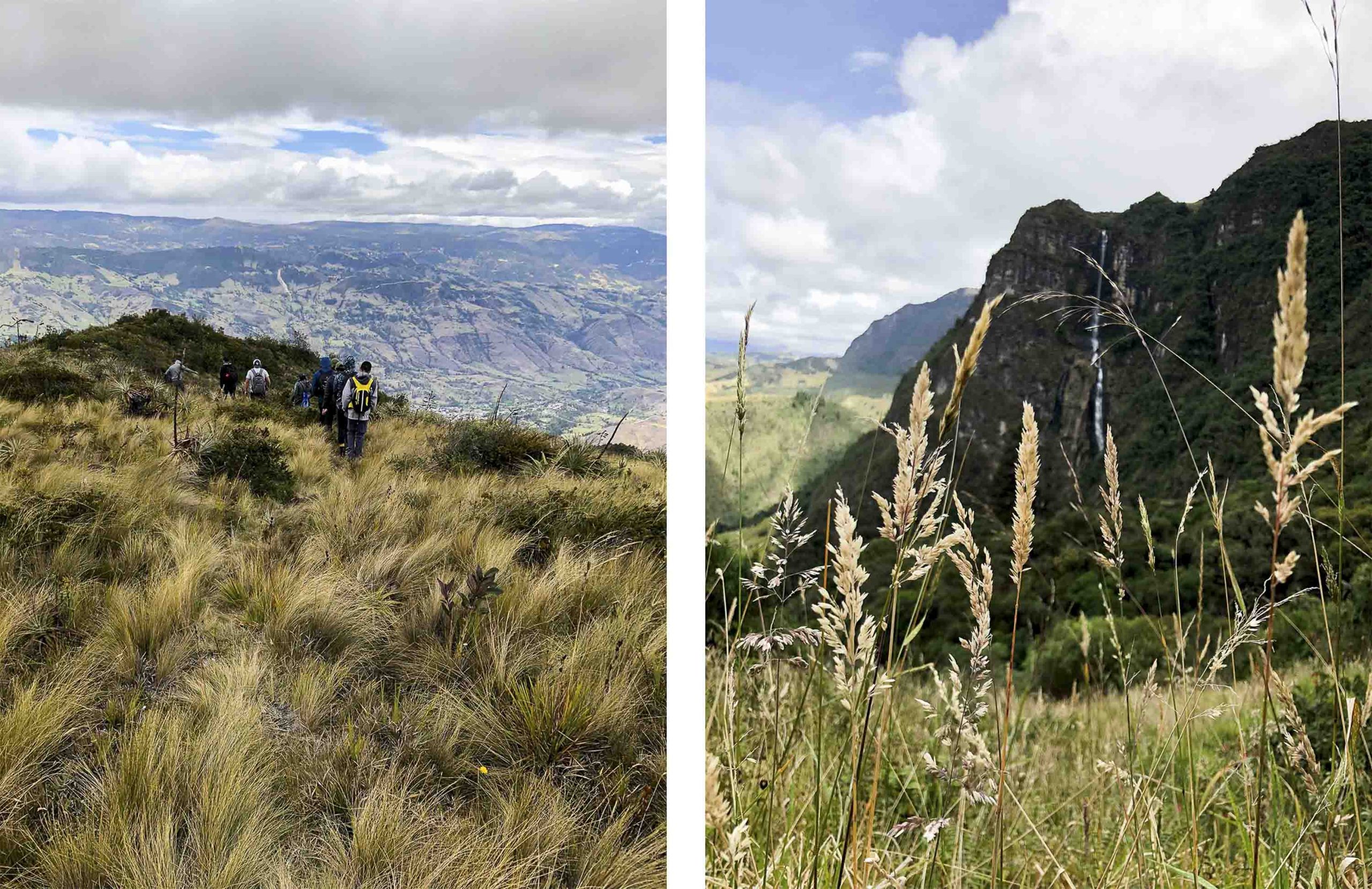 Lessons from Ecuador’s most resilient wildflower | Adventure.com