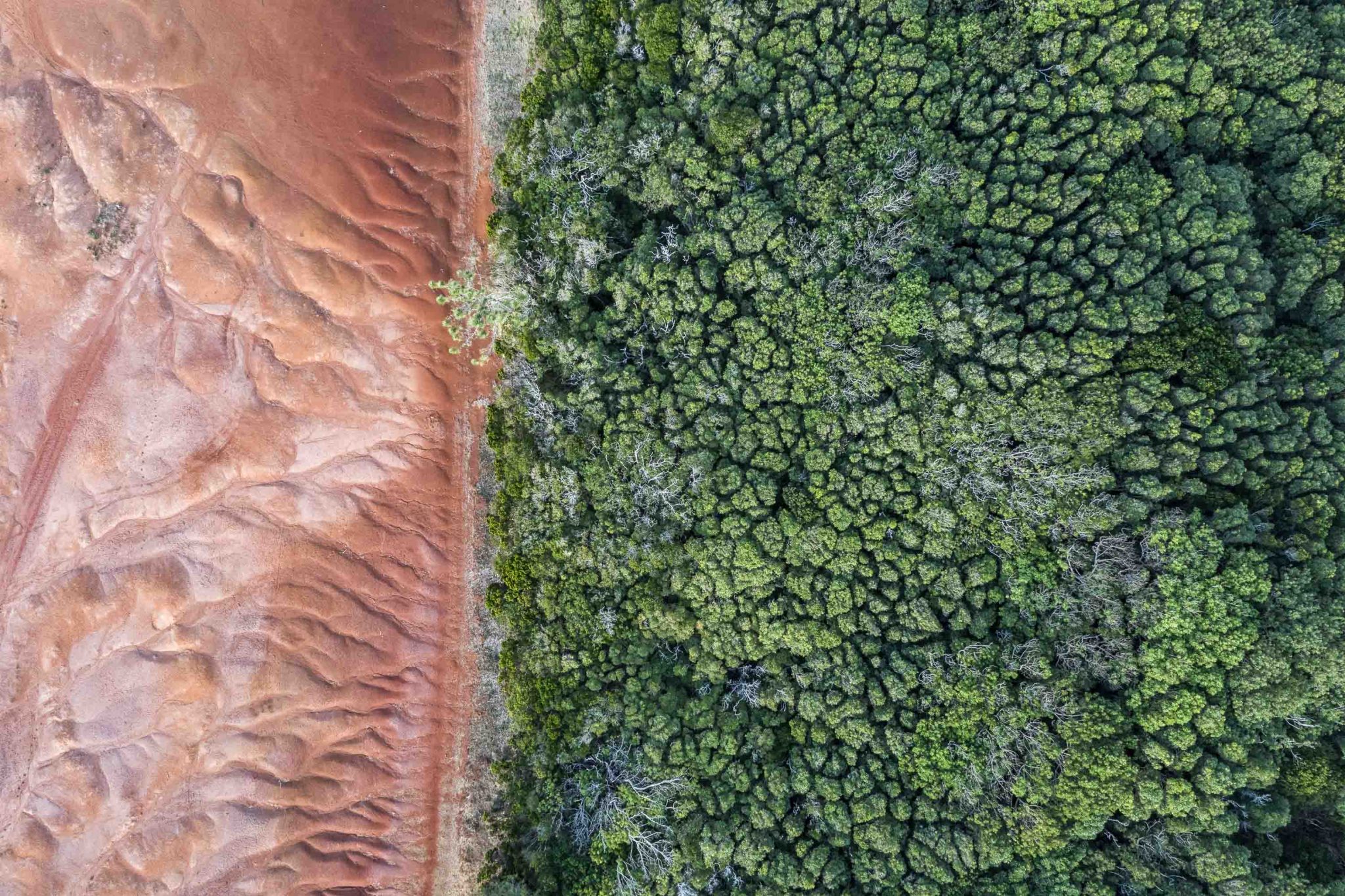 The nine best hikes of the Azores | Adventure.com
