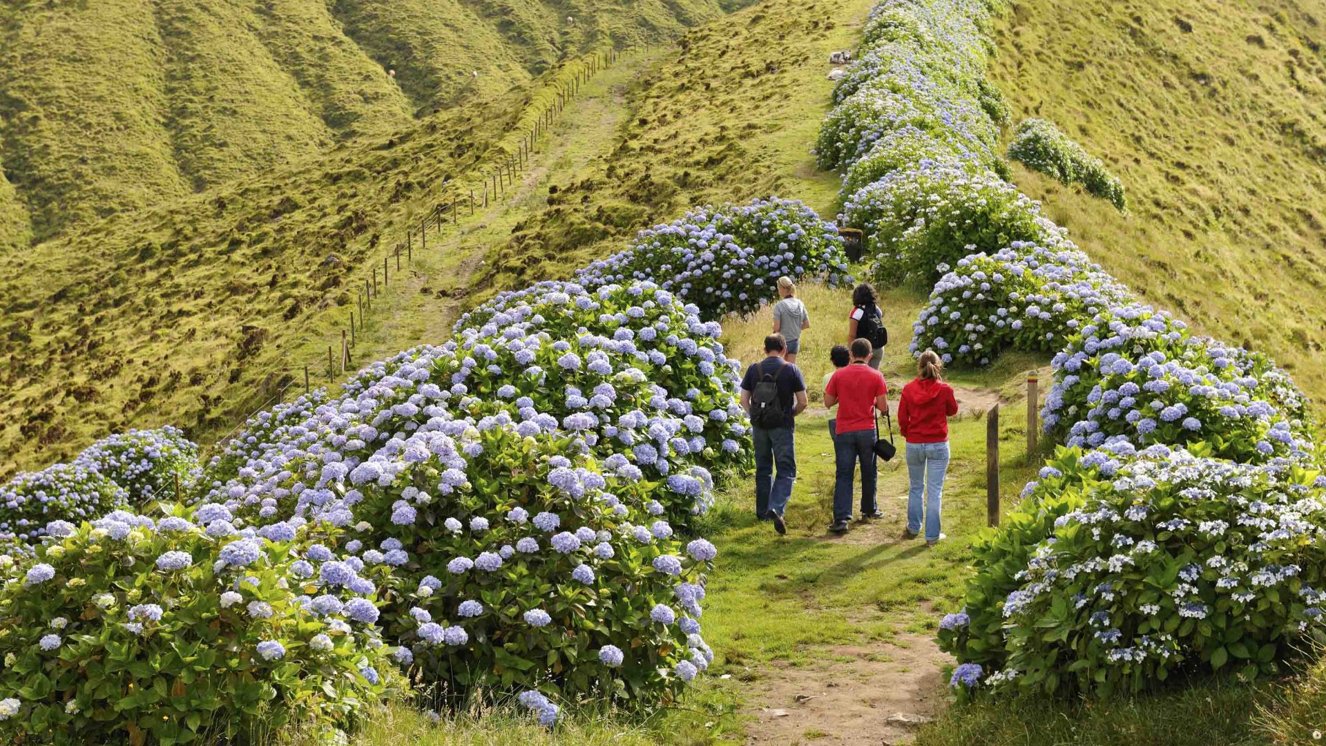 The nine best hikes of the Azores | Adventure.com