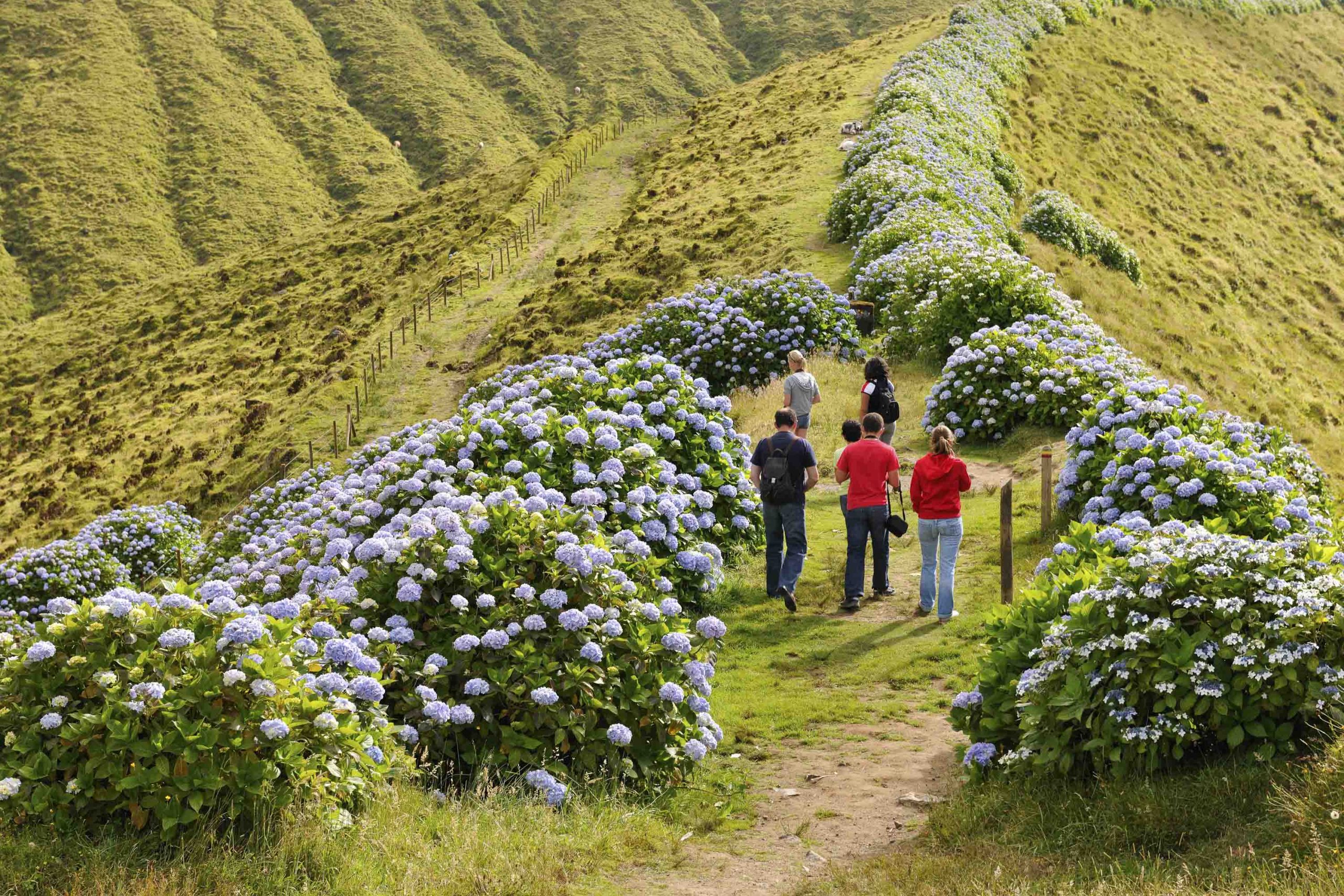 The nine best hikes of the Azores | Adventure.com