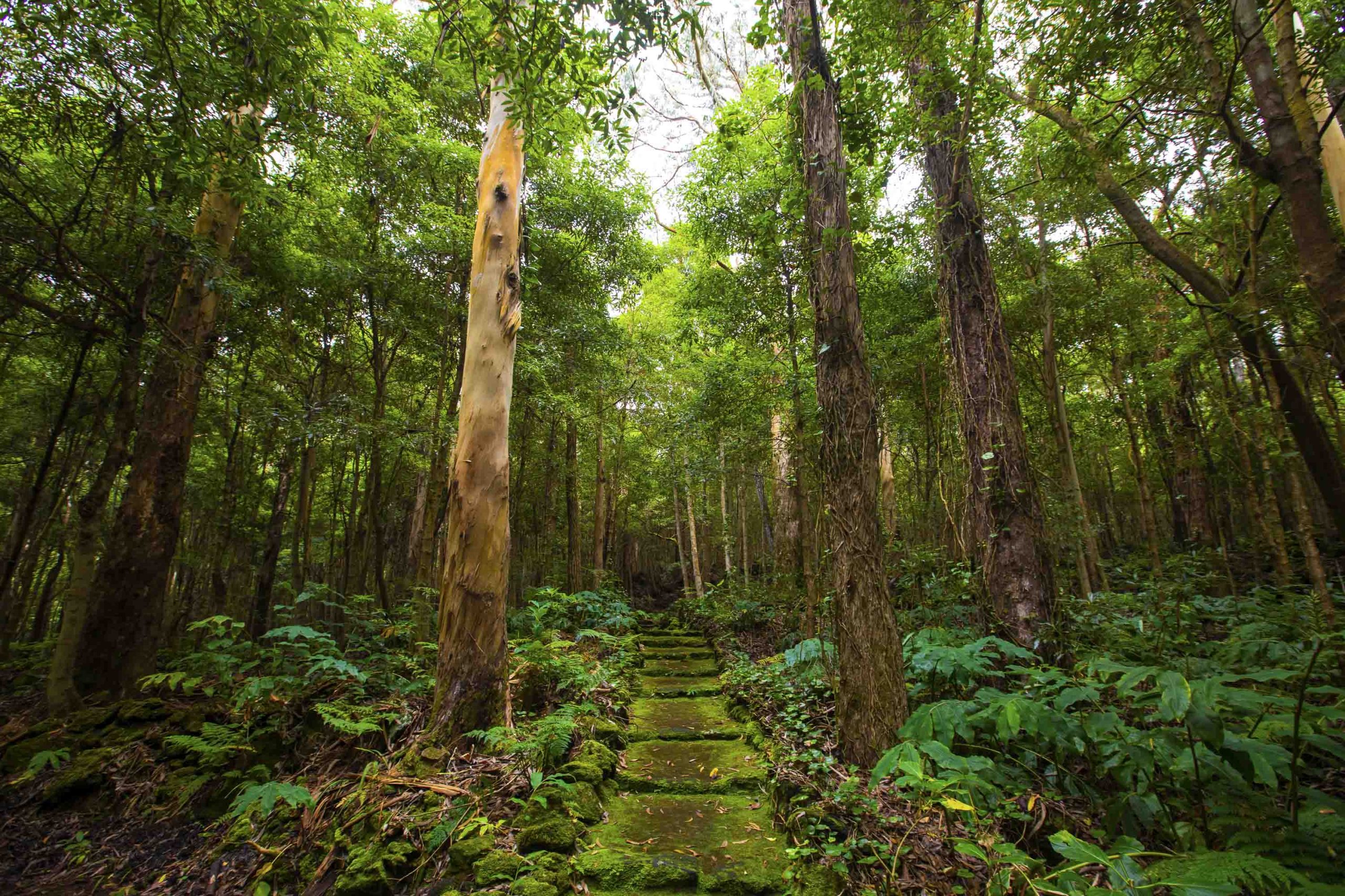The nine best hikes of the Azores | Adventure.com