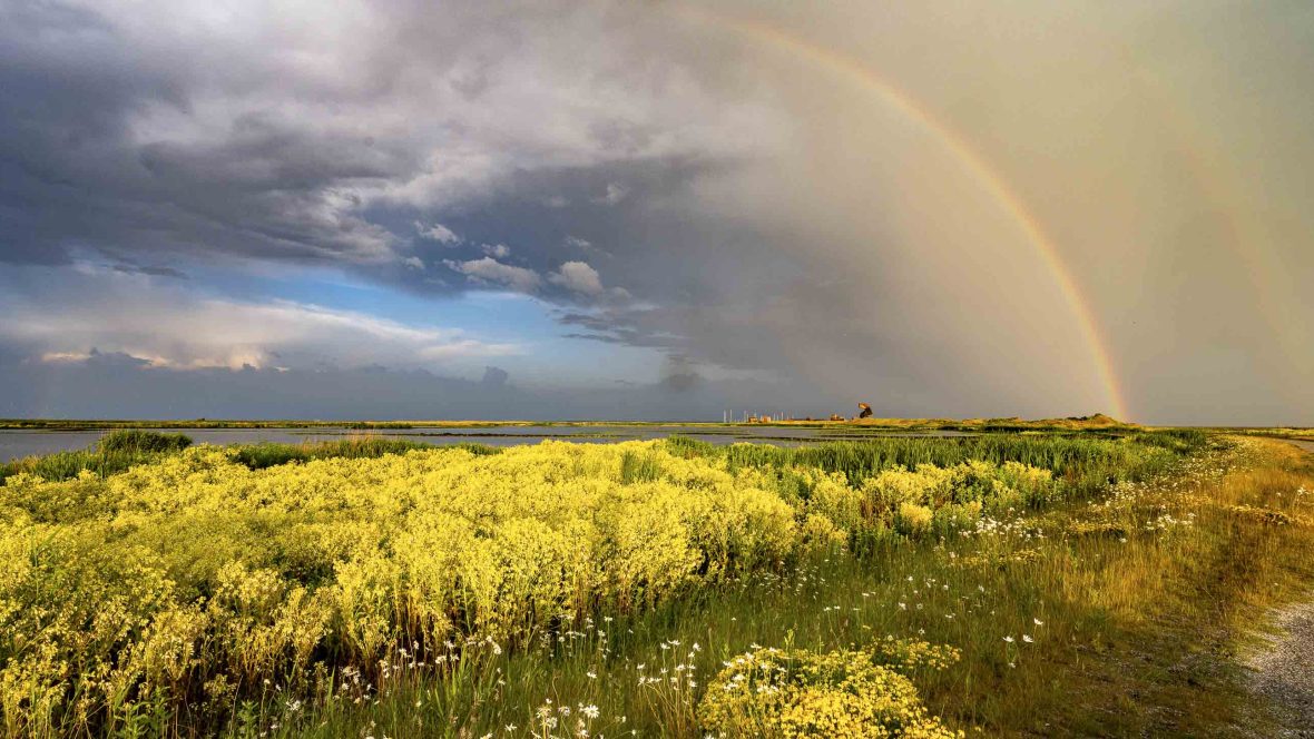Marker Wadden: The Netherlands' restoration test | Adventure.com
