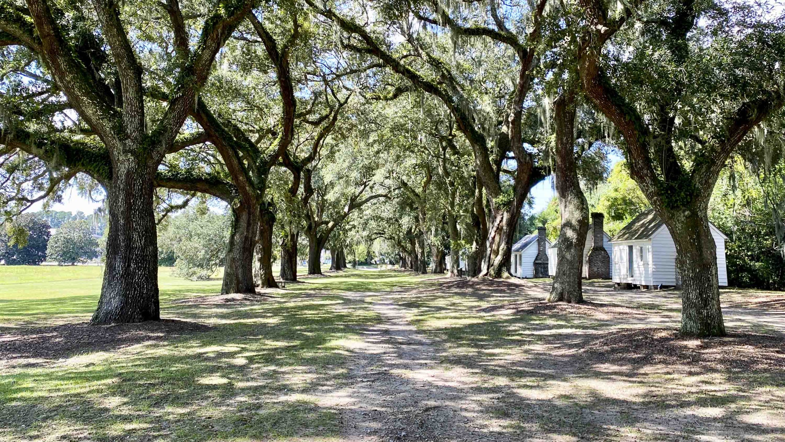 Reflections on Intrepid’s Gullah Geechee heritage trip | Adventure.com
