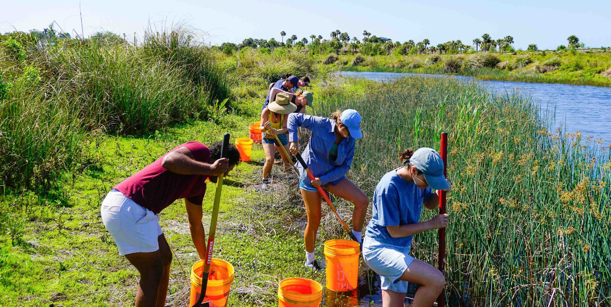 How citizen science can make conservation efforts more meaningful