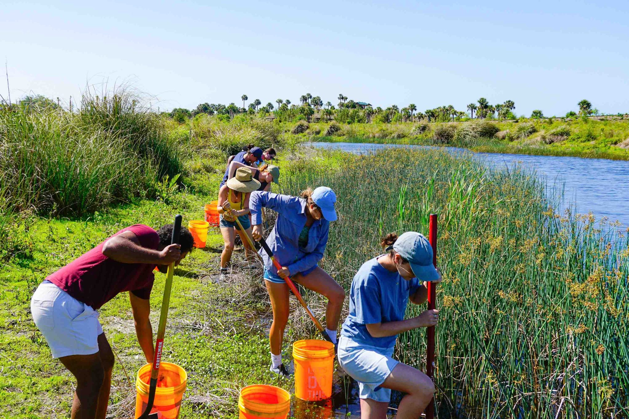 How citizen science can make conservation efforts more meaningful
