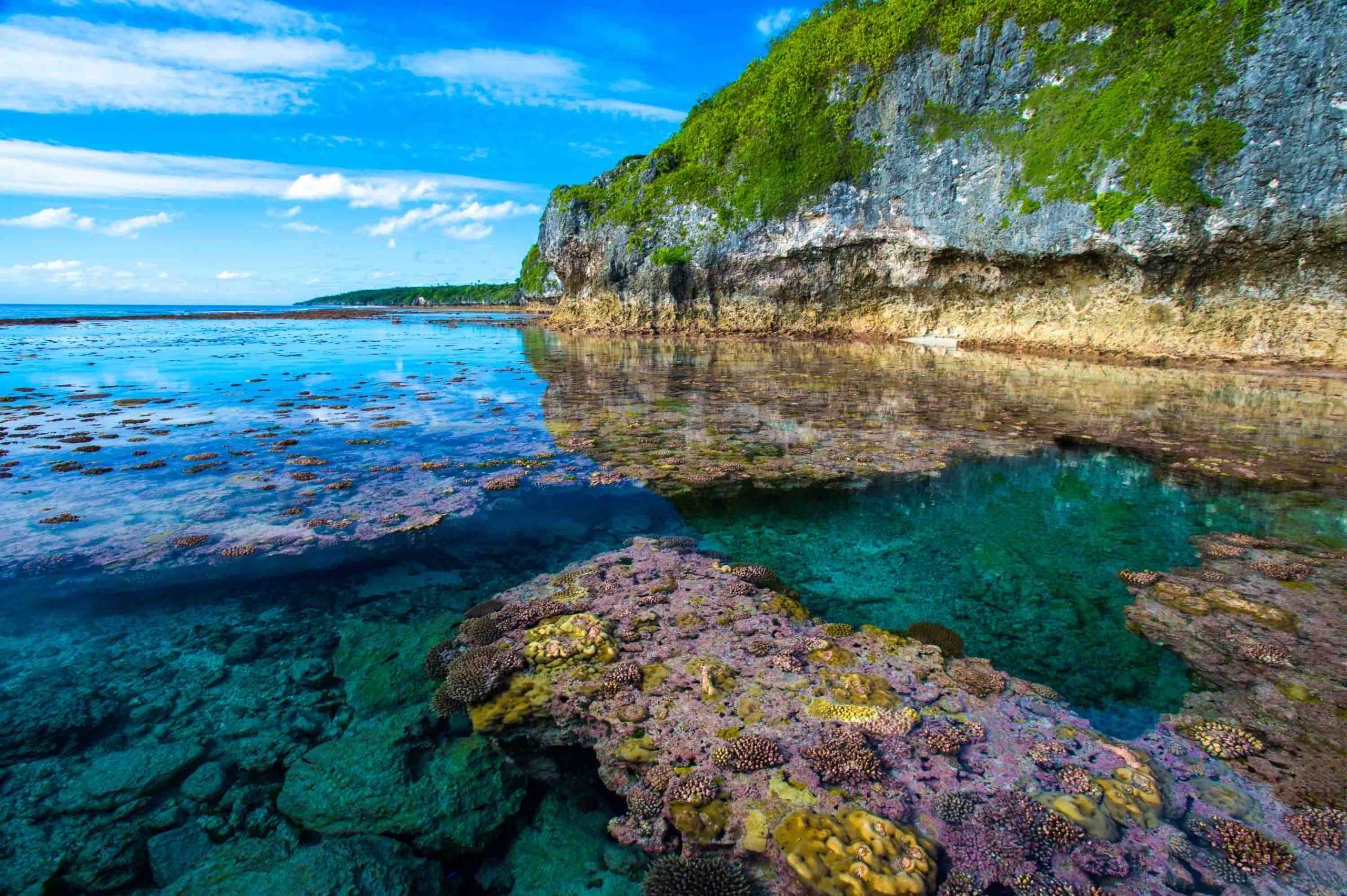 Niue Island: Dark skies, honey bees, and happy whales | Adventure.com