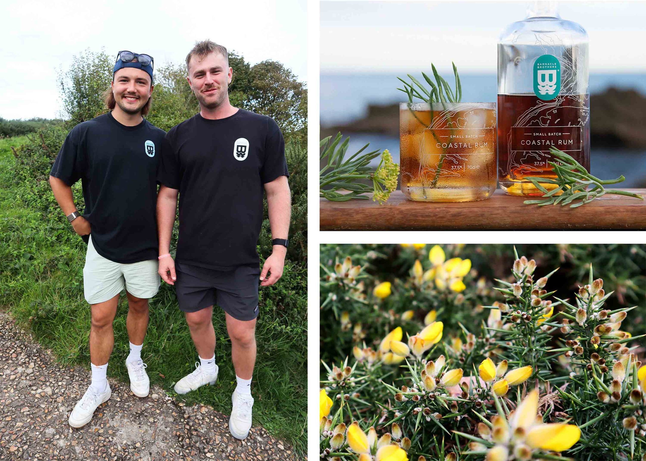 Isle of Wight drink makers are here to stay | Adventure.com