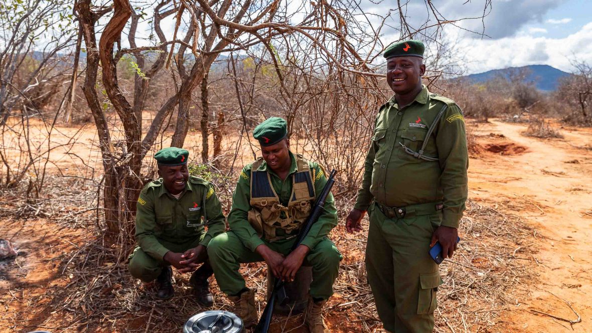 Honey bees are giving Kenyan farmers new hope | Adventure.com