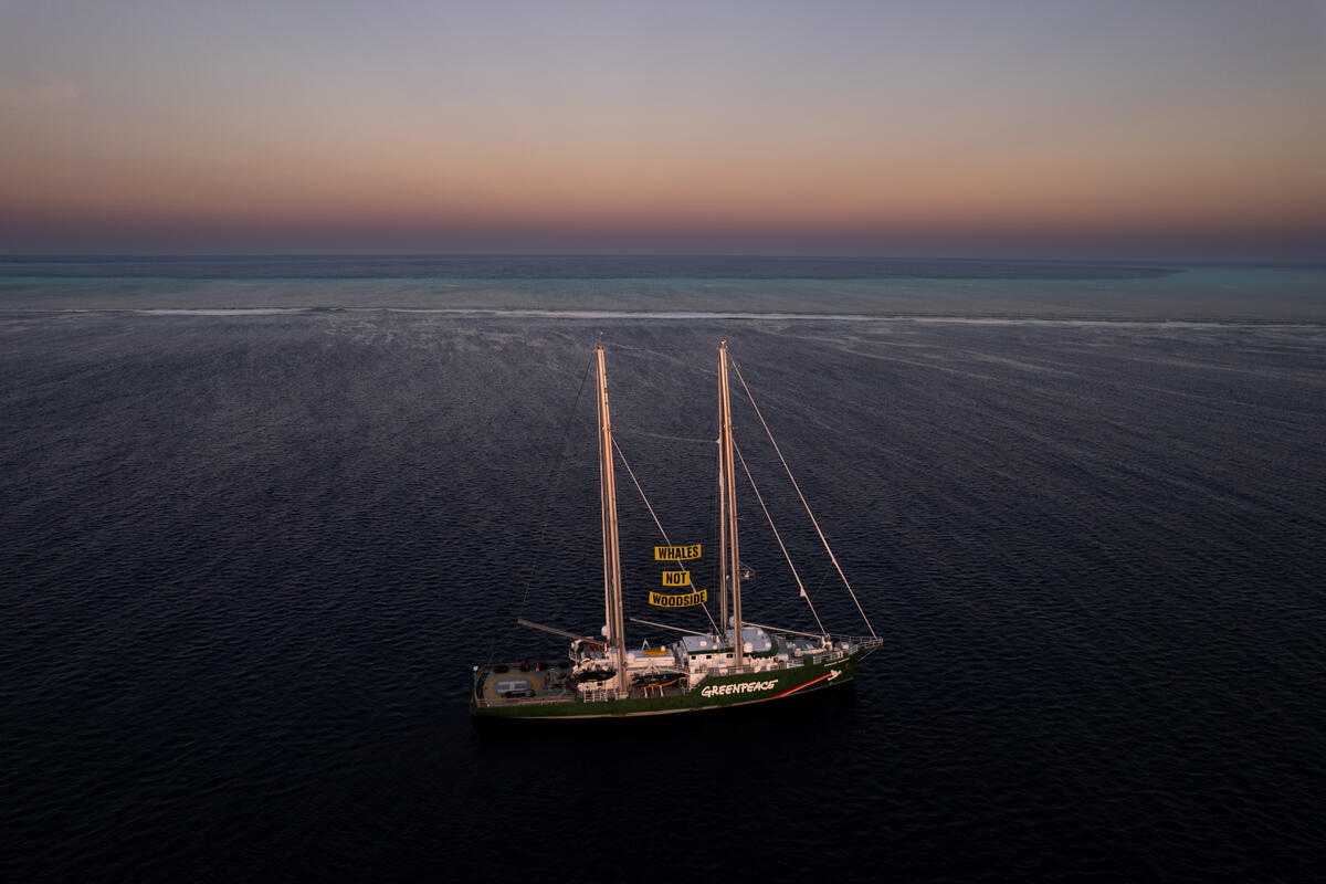 Sailing on Greenpeace’s Rainbow Warrior | Adventure.com