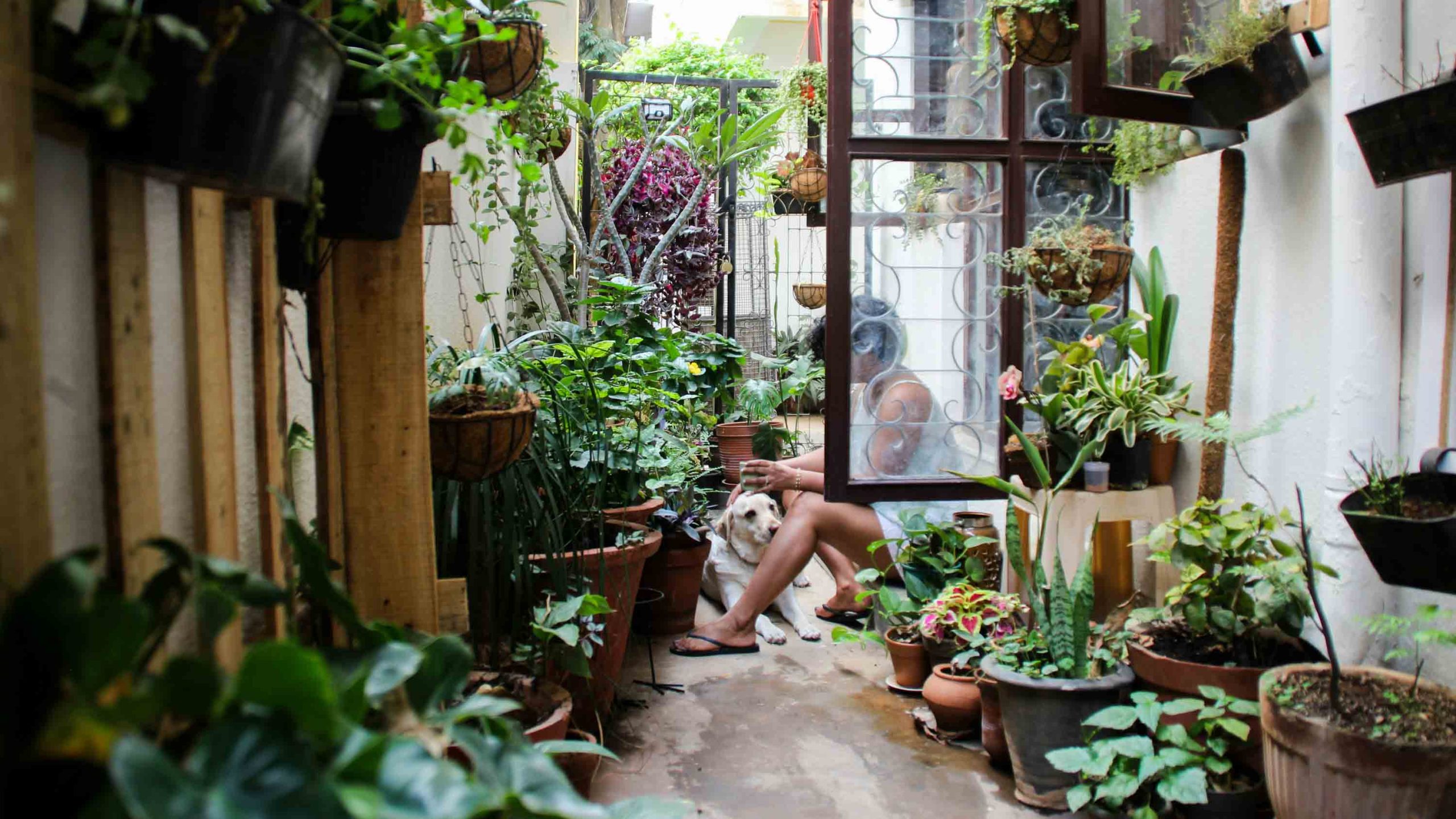 Earth Day: Finding nature in my own backyard | Adventure.com