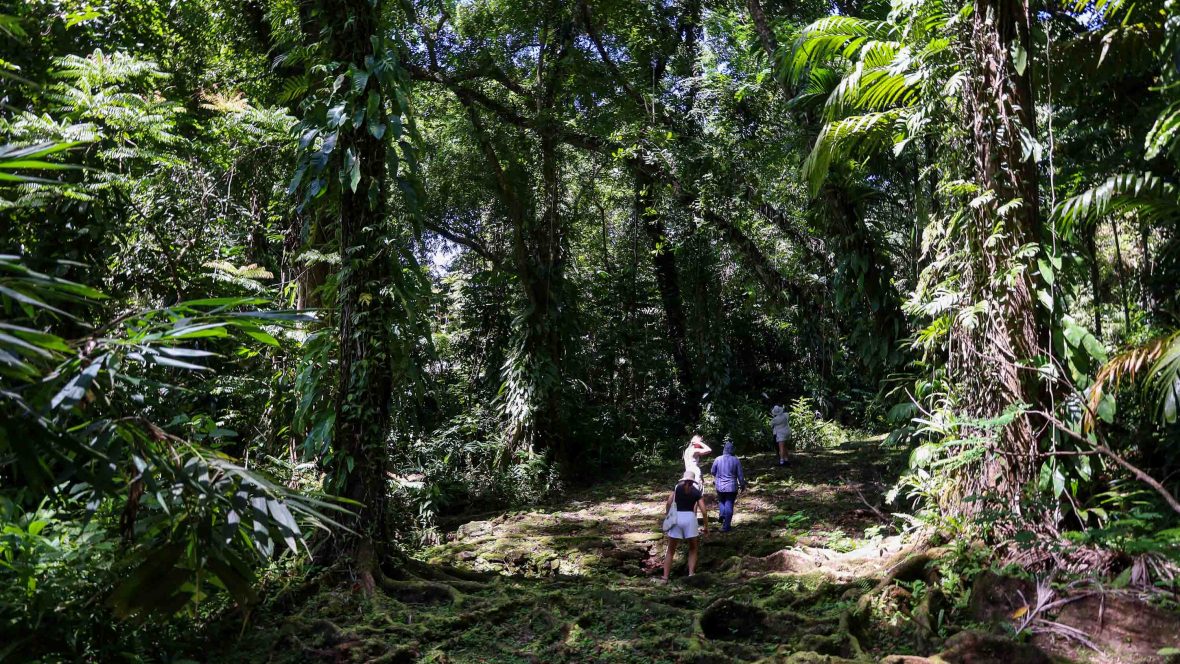 Ladies first? Life in Palau, one of the world’s last matriarchies ...