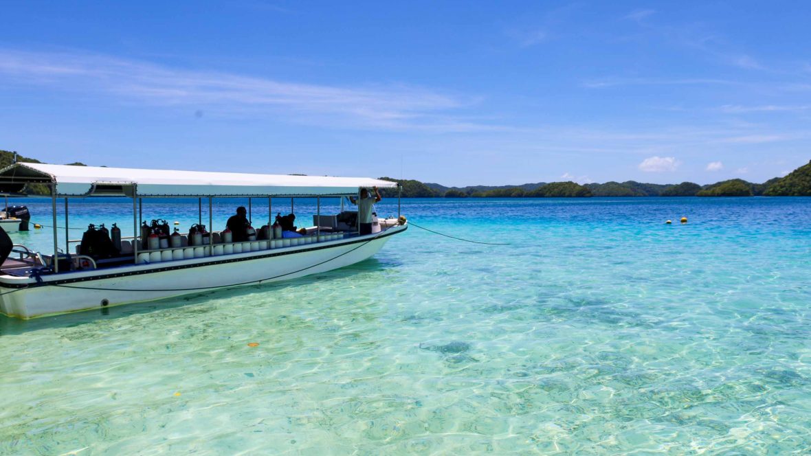 Ladies first? Life in Palau, one of the world’s last matriarchies ...
