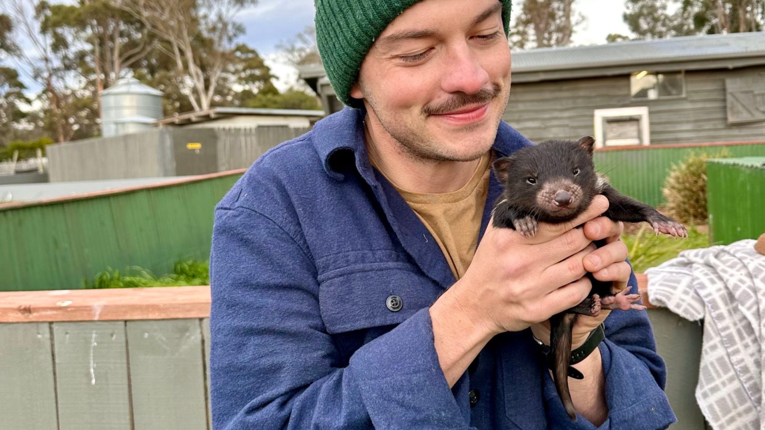 A day in the life of a wombat walker | Adventure.com