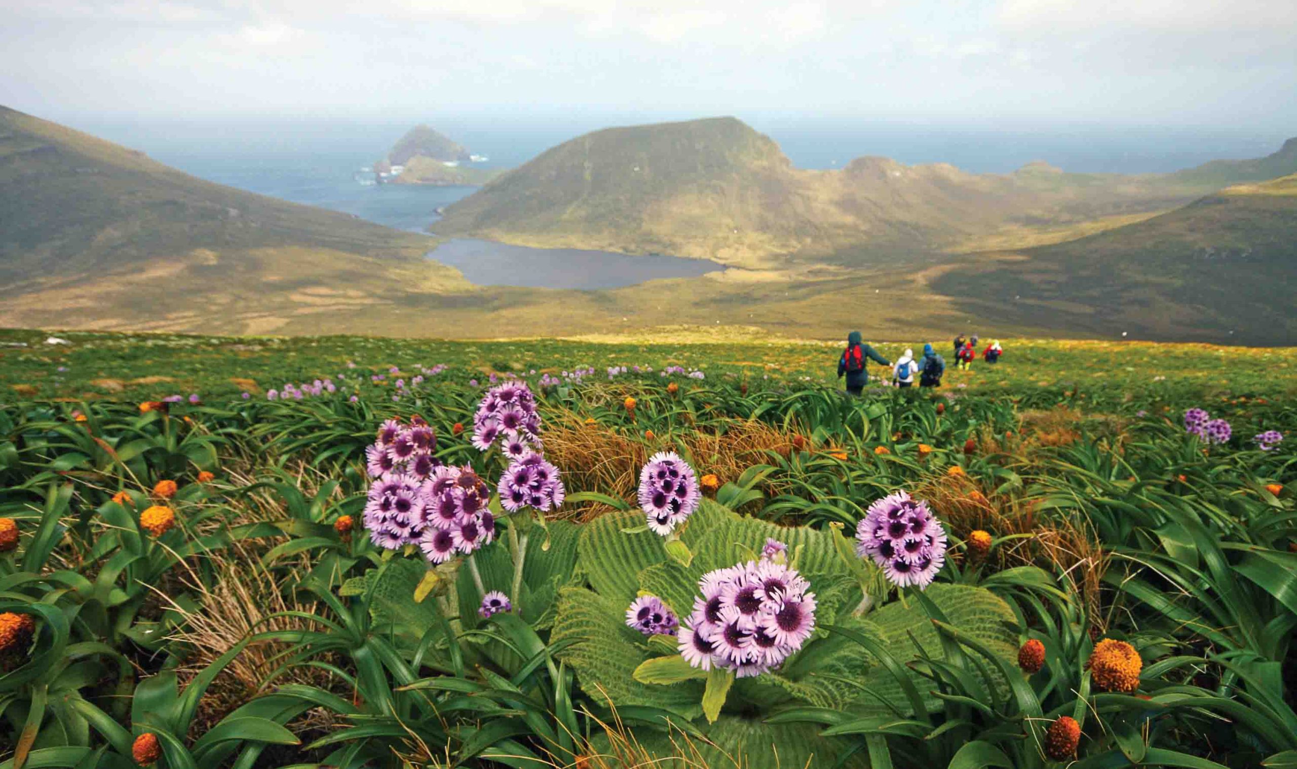 Exploring New Zealand’s Subantarctic islands | Adventure.com