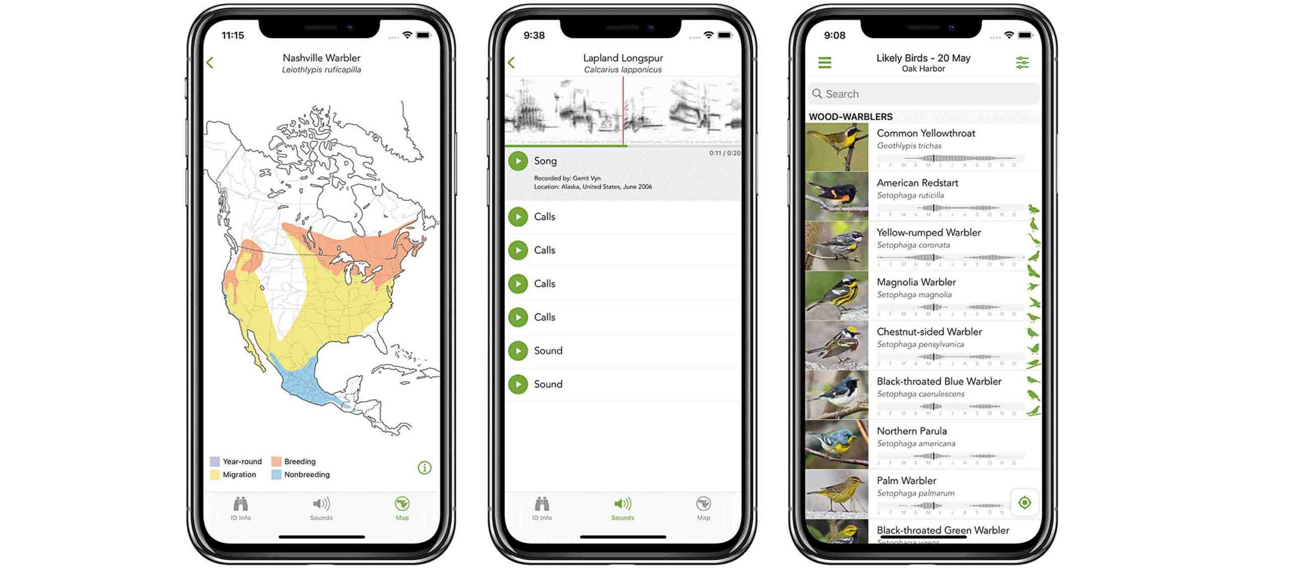 Nature apps versus a guide: The pros and cons | Adventure.com