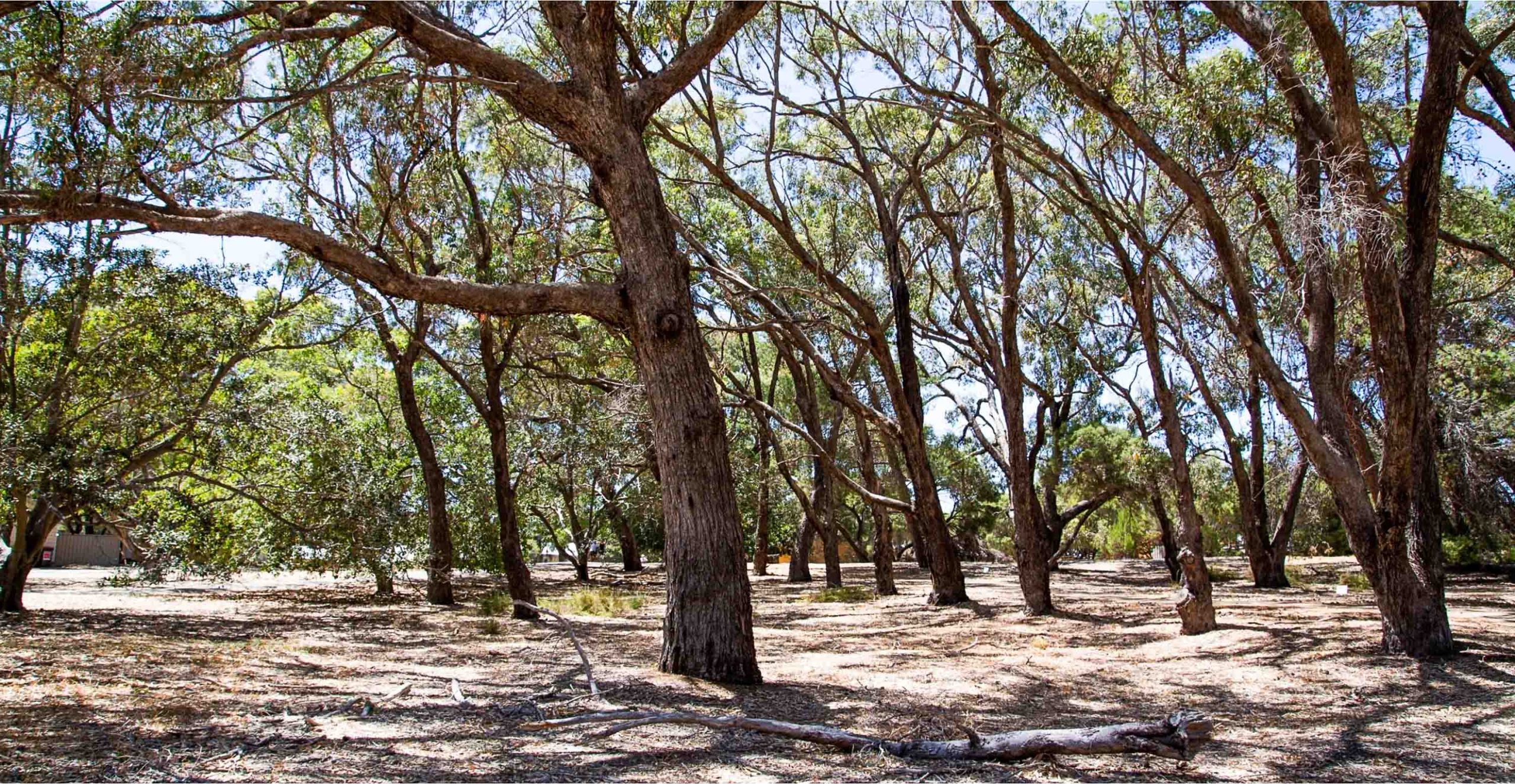 Exploring Rottnest Island’s Indigenous history | Adventure.com