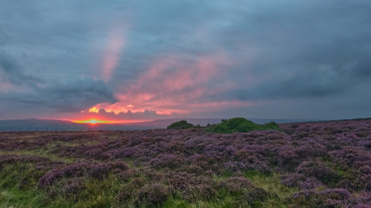 Walking through the North York Moors National Park—a place of adventure ...
