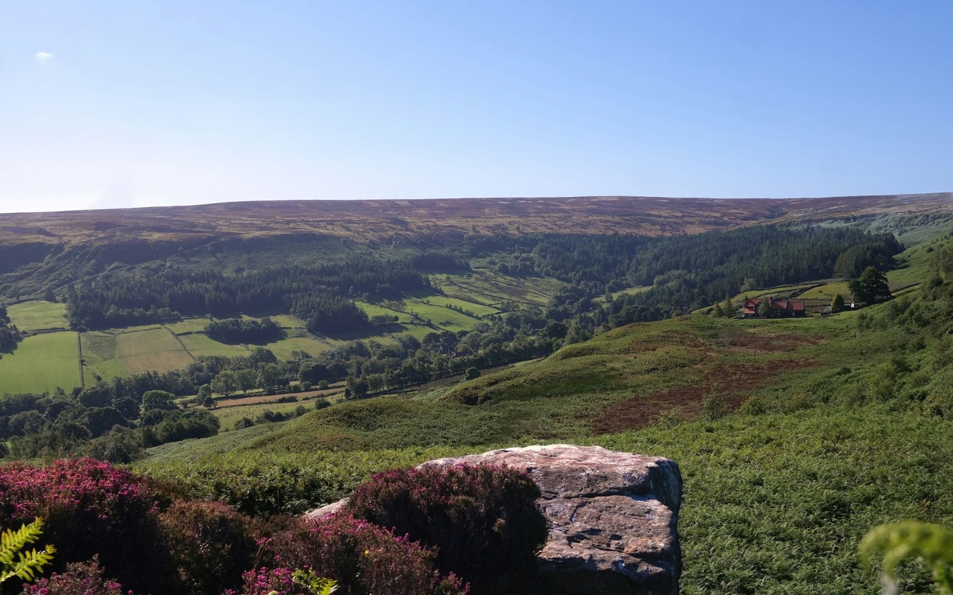 Walking through the North York Moors National Park—a place of adventure ...